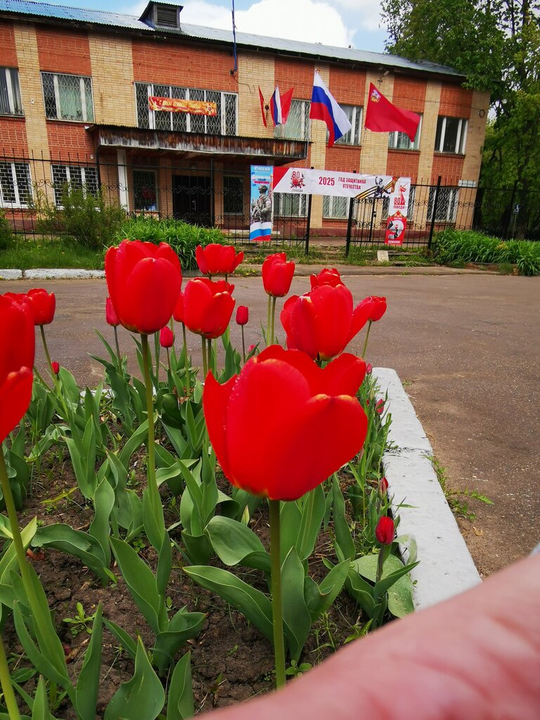 Sivil toplum kuruluşları Женский Совет Краснопутьского Административного Округа, Moskova ve Moskovskaya oblastı, foto