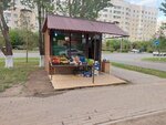 Fruits and Berries (Astana, Kereı Jáne Jánibek Handar kóshesi), manavlar  Astana'dan