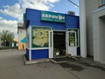 Абрикос (bulvar Ryabikova No:32Г/1), manavlar  Irkutsk'tan