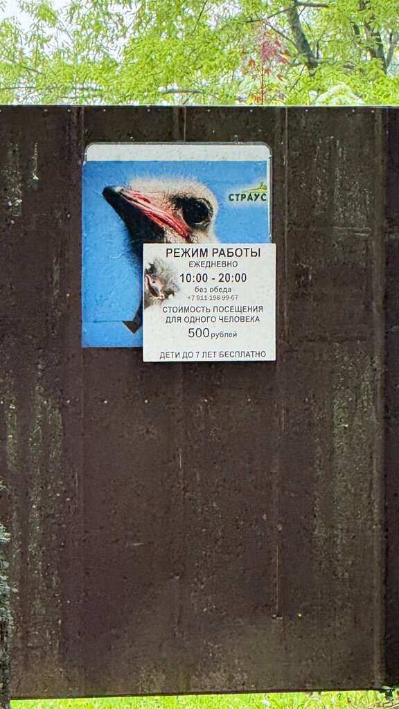 Tarım firmaları Страусиная Ферма, Saint‑Petersburg ve Leningradskaya oblastı, foto