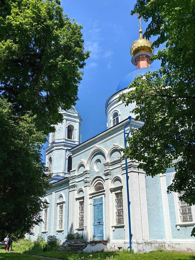 Sivil toplum kuruluşları Trezvoe Delo, Riazanskaya oblastı, foto