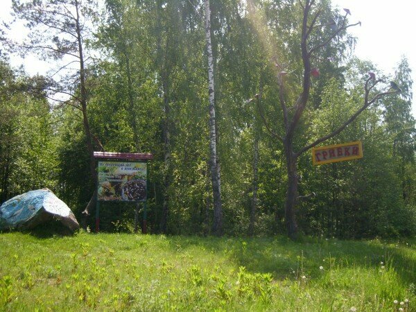 Piknik alanı Место отдыха Грибки, Mogiliovskaya oblastı, foto