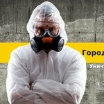 Gorodskaya_dezinfekciya (ulitsa Fridrikha Engelsa No:72), haşere ilaçlama firmaları  Irkutsk'tan