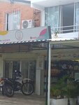 Matiz Petshop (Valle del Cauca, Municipio de Santiago de Cali, Carrera 83B 1, 48A-120), petshop  Cali'den
