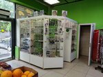 Оптика (Schorsa Street No:5), optik  Moskova'dan