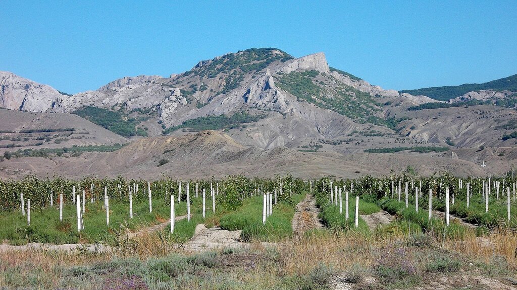 Dağ zirvesi Гора Кызыл-Топрагын-Бурунун-Каясы, Kırım Cumhuriyeti, foto