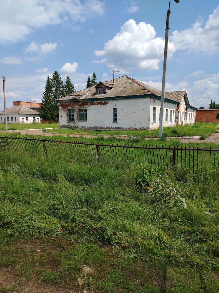 Hastaneler Участковая больница, Başkurdistan, foto