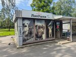 Kot Matroskin (Truda Street No:38/1), petshop  Pskov'dan