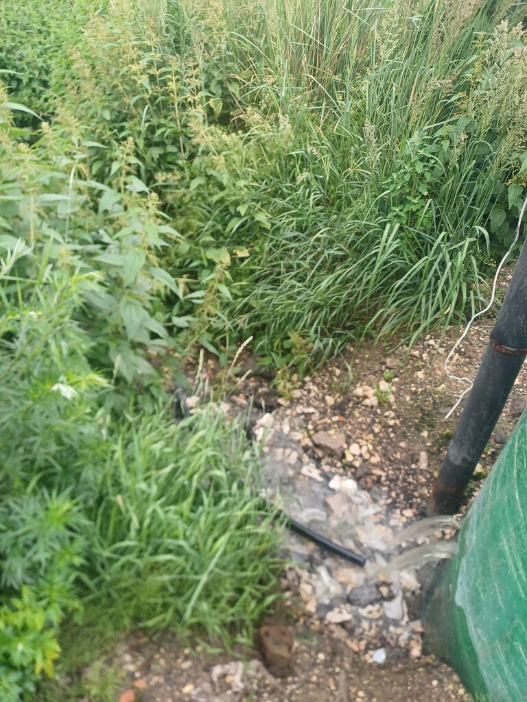 Pınar, çay Spring, stream, Kazan, foto