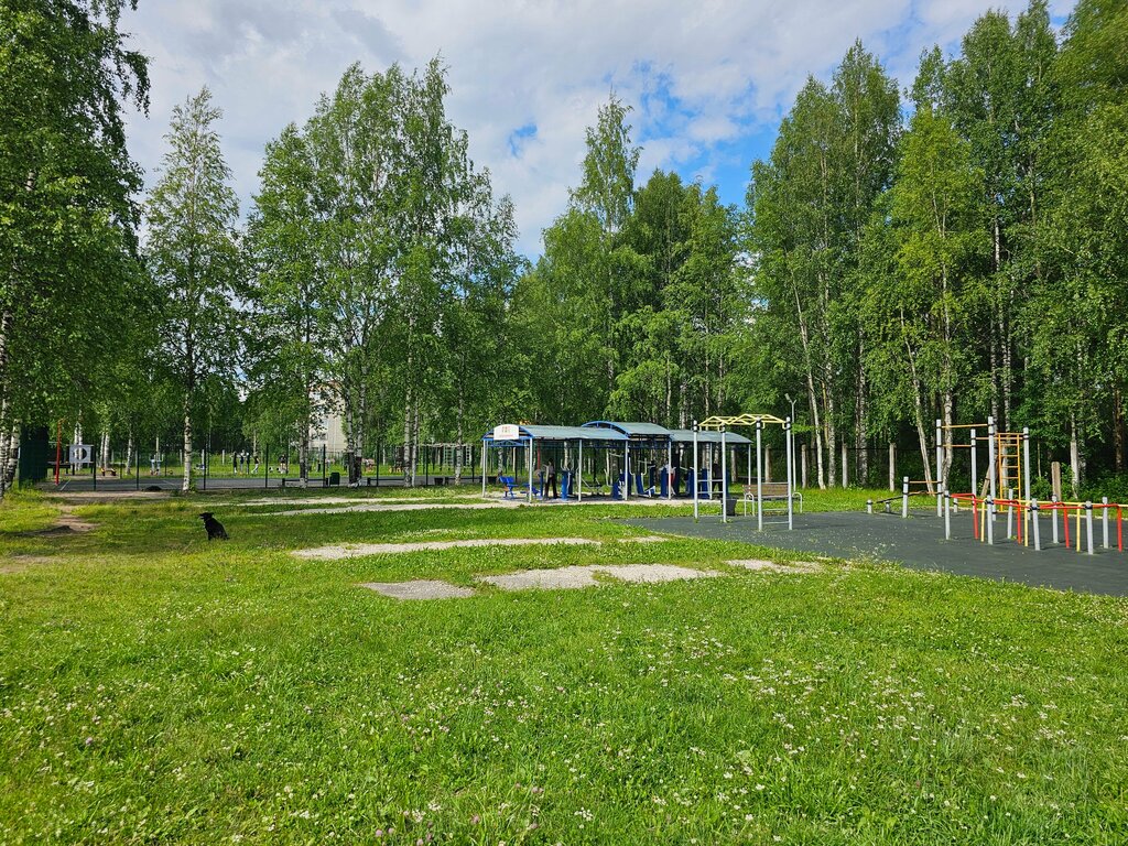 Stadyum Локомотив, Sosnogorsk, foto