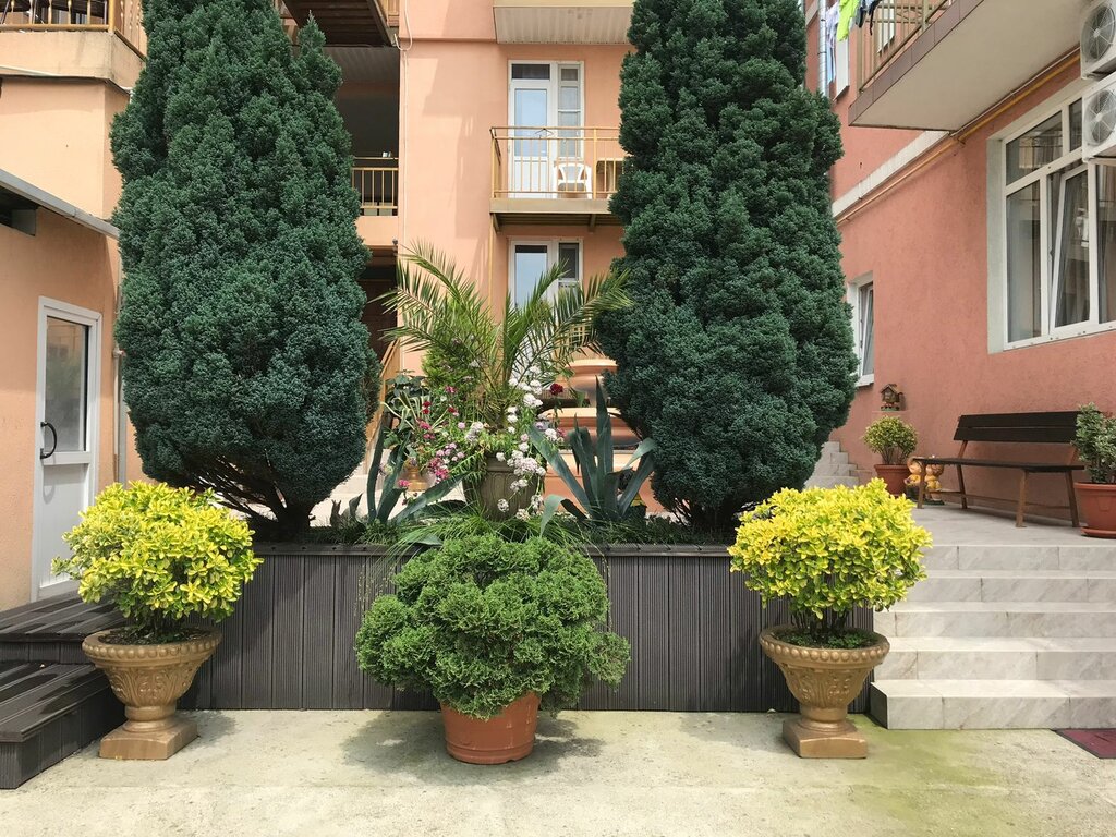 Otel ДО моря, Soçi, foto