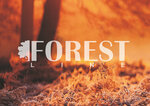 Forest-Line (2nd Minskiy Lane No:6), depo  İvanovo'dan