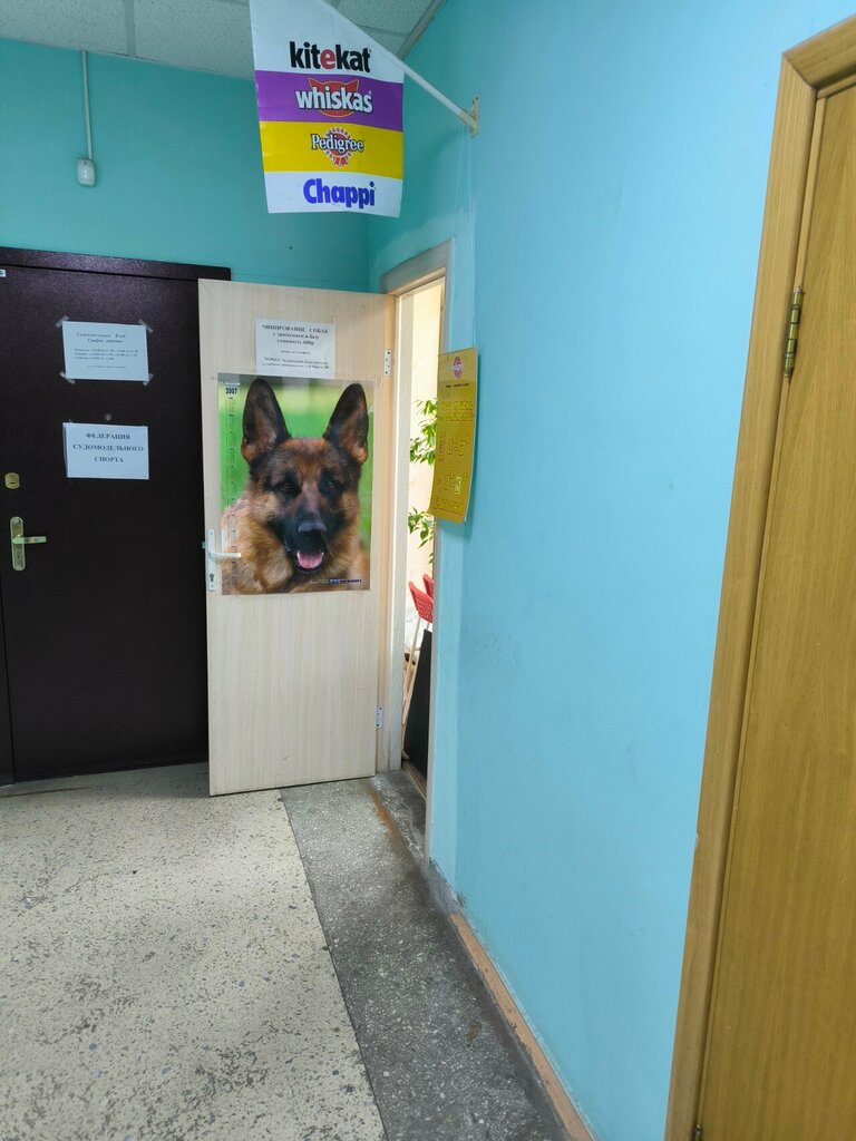 Hayvanat bahçesi merkezi Dosaaf klub sluzhebnogo sobakovodstva Regionalnoye otdeleniye Dosaaf Rossii, Çeliabinsk, foto