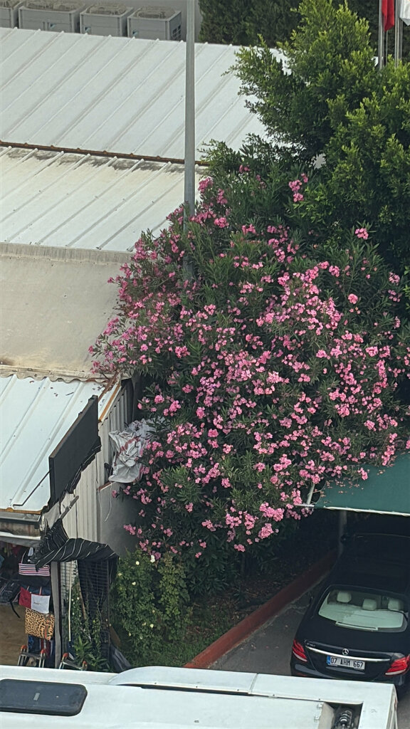 Otel Side Royal Hotels, Manavgat, foto