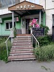 Зеленая лавка (Komsomolskiy prospekt No:30), bahçecilik mağazaları  Çeliabinsk'ten
