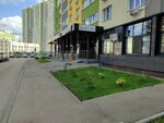 Wildberries (Revolutsionnaya Street No:101Вк2), teslimat noktası  Samara'dan