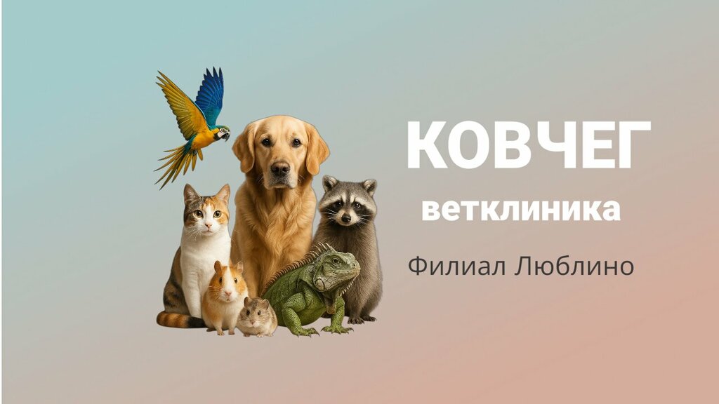 Veteriner klinikleri Ковчег, Moskova, foto