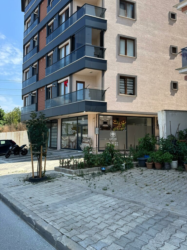 i̇nşaat ve tasarım hizmetleri Çınar Alçı Dekorasyon - Çekmeköy Alçıpan Ustası, İstanbul, foto