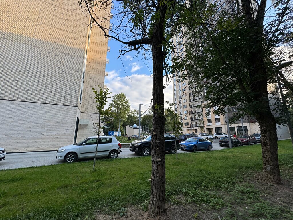 Spor alanı Vnutridvorovaya sportivnaya ploshchadka, Katok, Moskova, foto