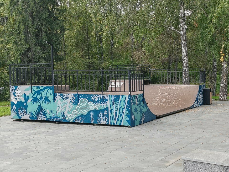 Kaykay parkı Скейт-парк, Novosibirsk, foto