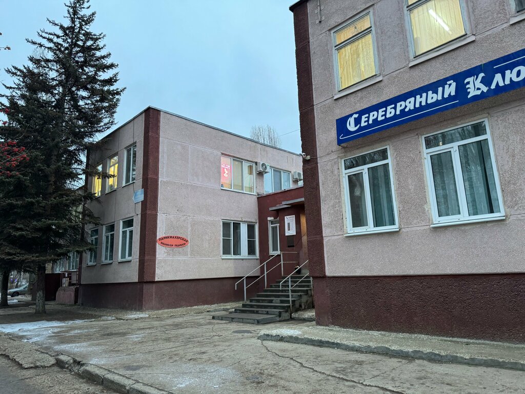 Sanat okulları Фламинго, Balakovo, foto