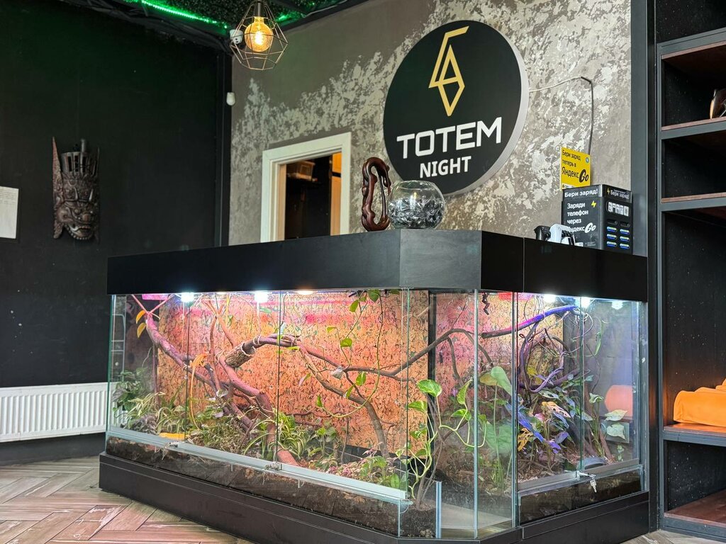 Nargile kafeler Totem Night Lounge, Moskova, foto