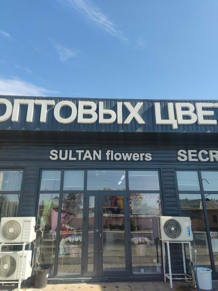 Çiçekçiler Sultan flowers, Türkistan, foto