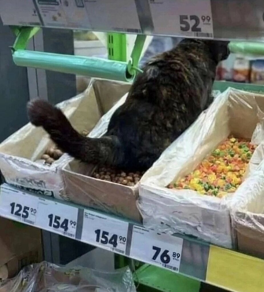 Süpermarket Pyatyorochka, Zavoljye, foto