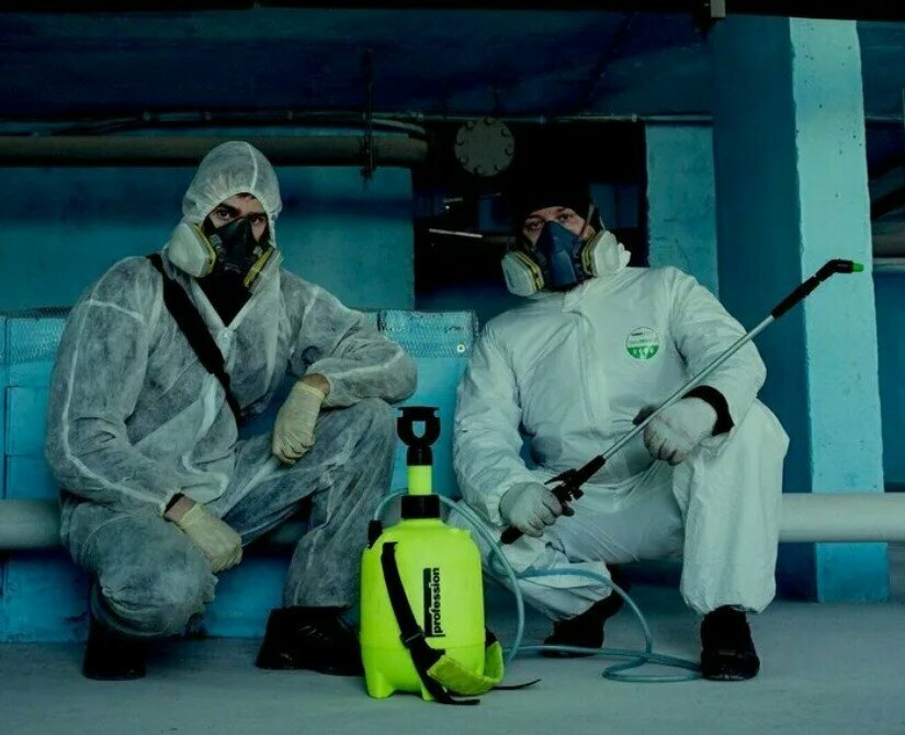 Haşere ilaçlama firmaları Mercury Expert, Çeliabinsk, foto