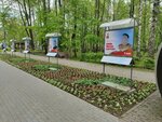 Город на кадре (Moscow Region, Mytischi, Novomytischinsky Avenue), sergi standları  Koroliov'dan