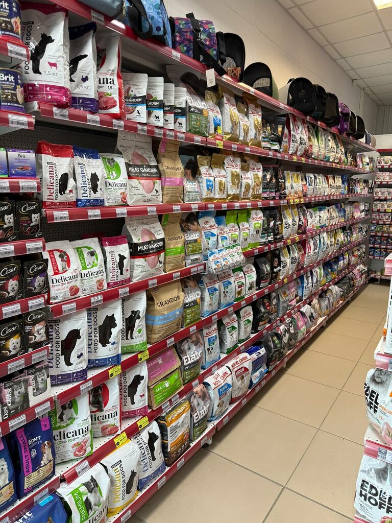 Petshop Красный Кролик, Novosibirsk, foto