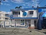 Zoomascotas (Valle del Cauca, Municipio de Santiago de Cali, Comuna 19, Champagnat, Carrera 32A, 9C-120), veteriner klinikleri  Cali'den