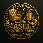 Erzurum Asel Koltuk Yıkama (Erzurum, Palandöken, Sultan Alparslan Cad.), temizlik şirketleri  Erzurum'dan