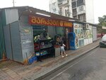 Solway (Arsena Odzelashvili Street No:7), baskıda kullanılan materyaller  Batum'dan