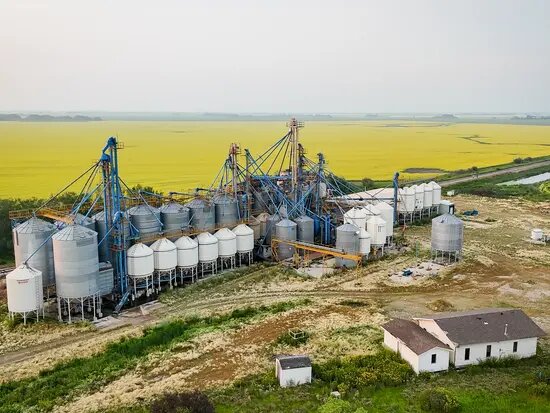 Gıda üreticileri Graındesk Tarım, Mersin, foto