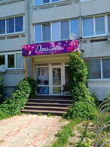 Orkhideya (No:20, 3rd Microdistrict), kuaförler  Desnogorsk'tan