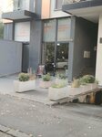 Elite (Bose Milićević Street No:4), spor kulüpleri  Belgrad'dan