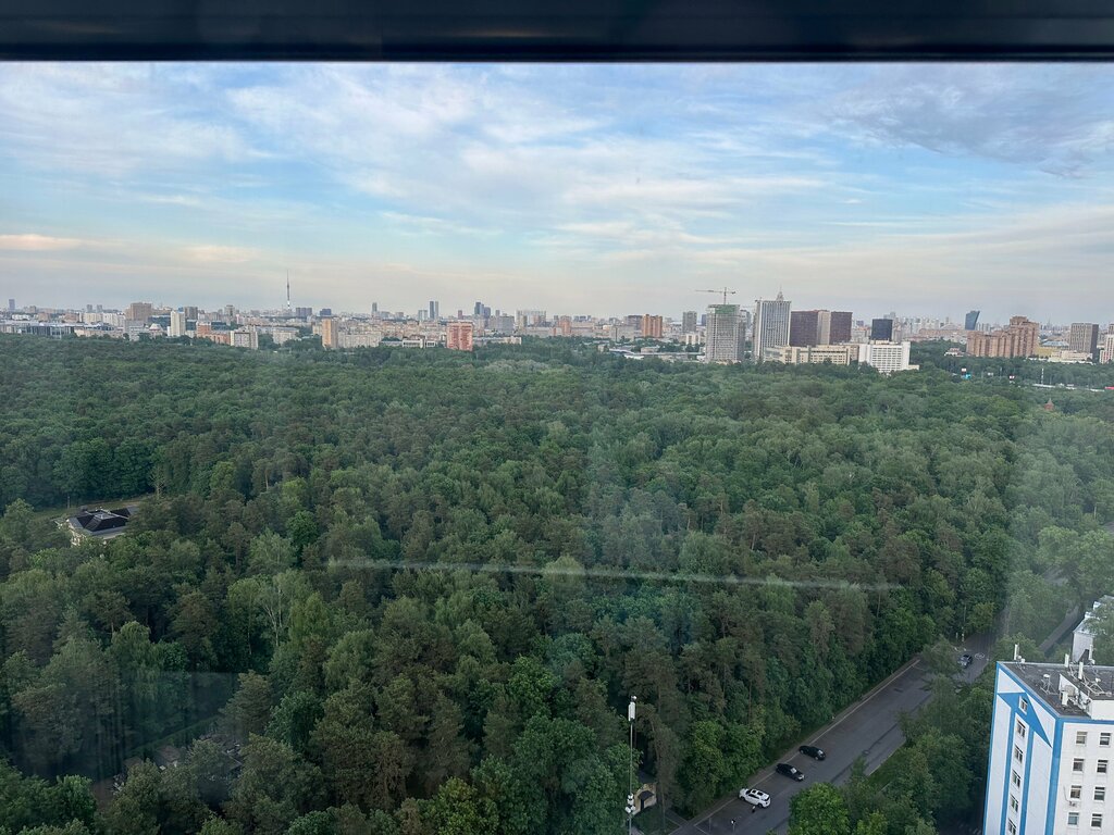 Parklar ve ormanlar Yugo-Vostochny Forest Park, Moskova ve Moskovskaya oblastı, foto
