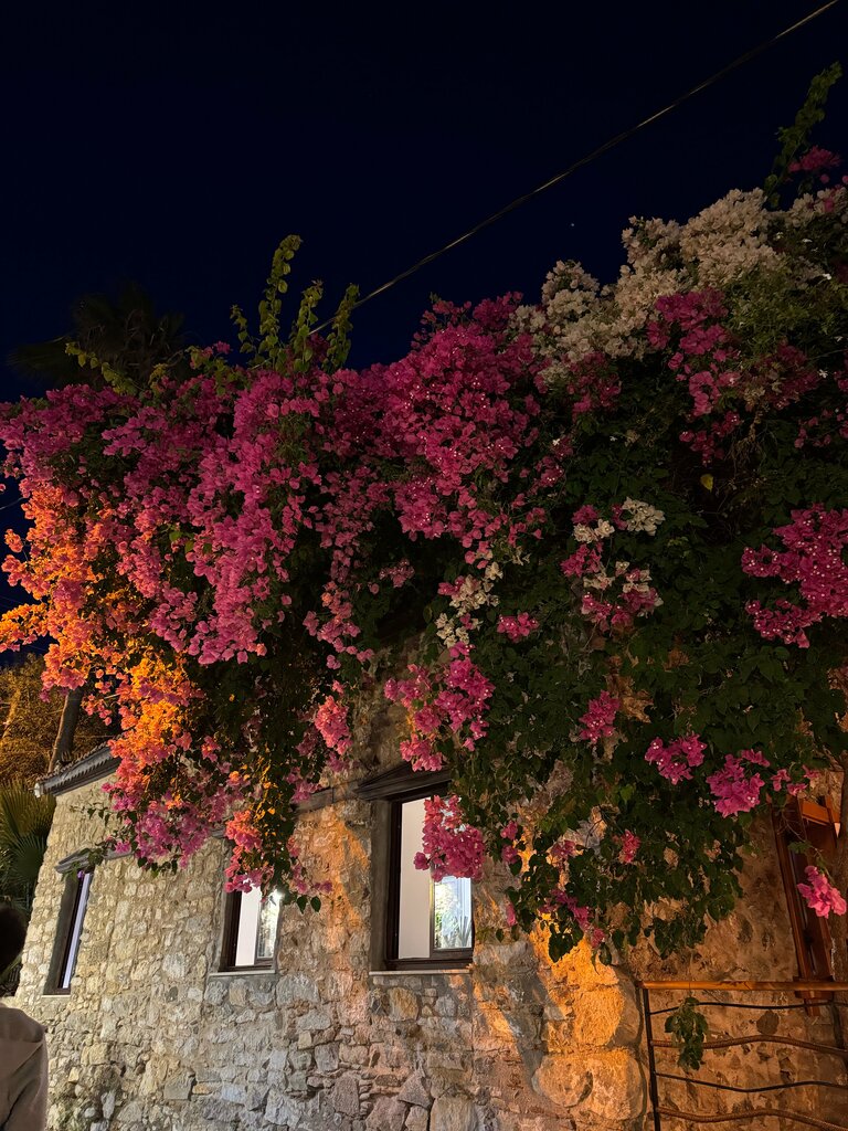 Otel Taş Konak Eski Datça, Datça, foto