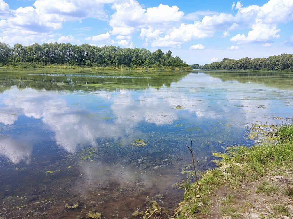 Plaj Пляж, Tataristan, foto