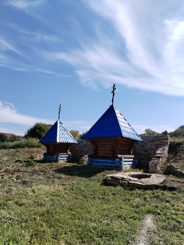 Turistik yerler 200-летнее дерево, Penzenskaya oblastı, foto