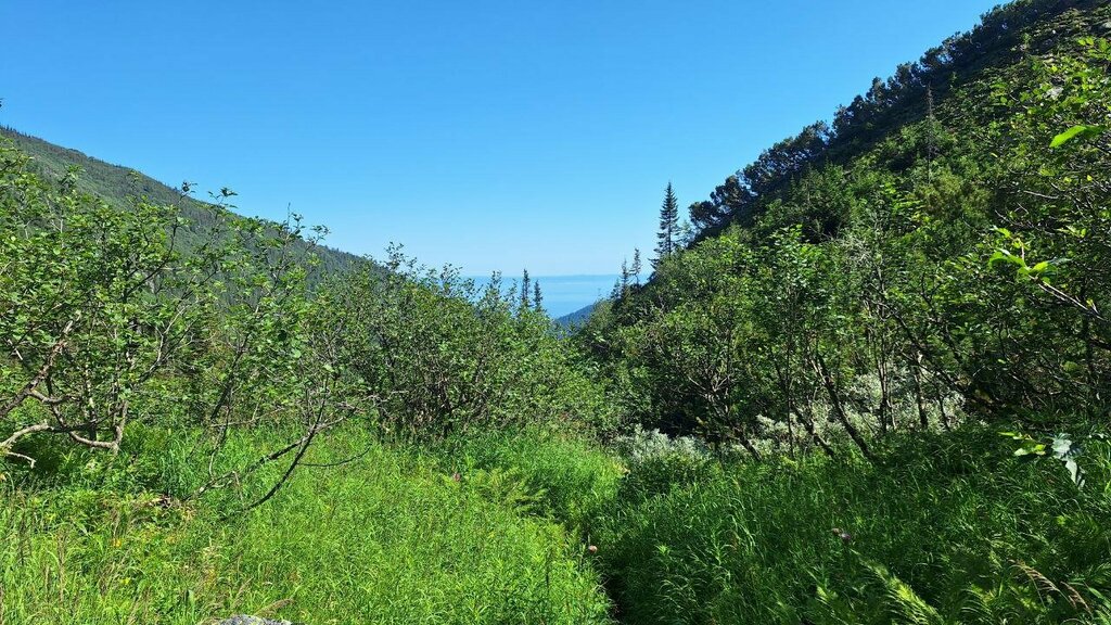 Dağ zirvesi Пик Бабха, İrkutskaya oblastı, foto