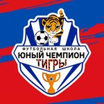 Филиал Юный Чемпион - Тюленина (ulitsa Tyulenina No:27, Novosibirsk), spor okulları  Novosibirsk'ten