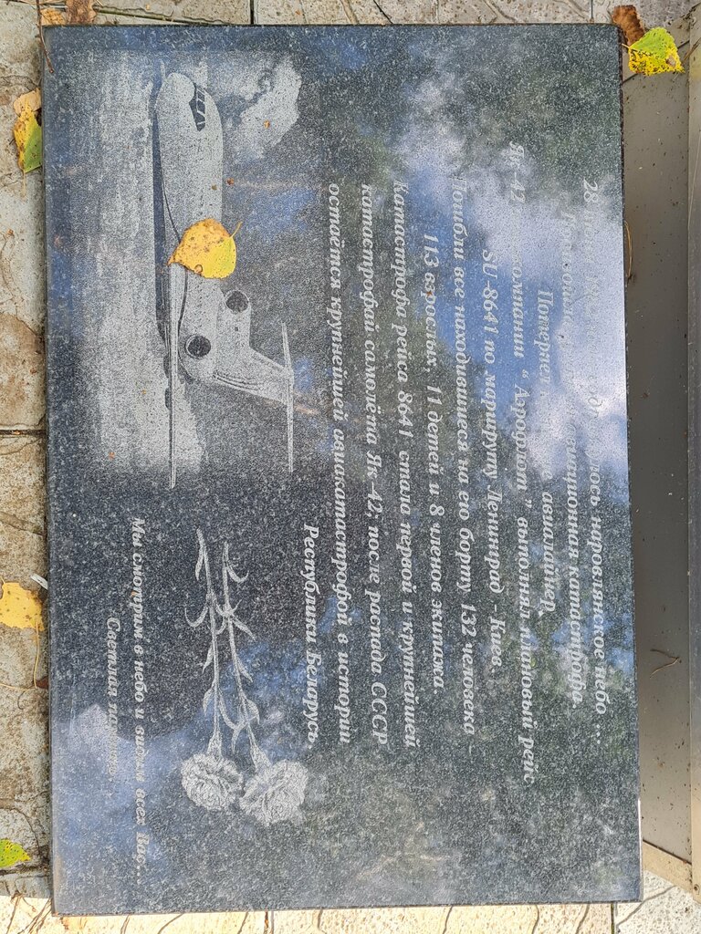 Anıt, heykel Погибшим в авиакатастрофе 28 июня 1982 года, Gomelskaya oblastı, foto