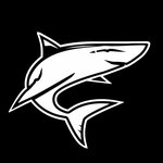 White Shark (No:130, derevnya Kaltino), yüzme havuzları  Saint‑Petersburg ve Leningradskaya oblastından