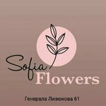 Sofia (Lizyukov street No:61), çiçekçiler  Voronej'den