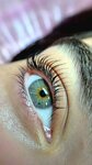 Lashboss (ulitsa im. Baybakova N.K. No:5, Prikubanskiy City administrative district, mikrorayon Moskovskiy), kaş ve kirpik salonu  Krasnodar'dan