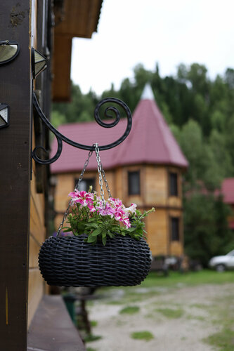 Resort oteller, tesisler Усадьба Лебедь, Altay Cumhuriyeti, foto