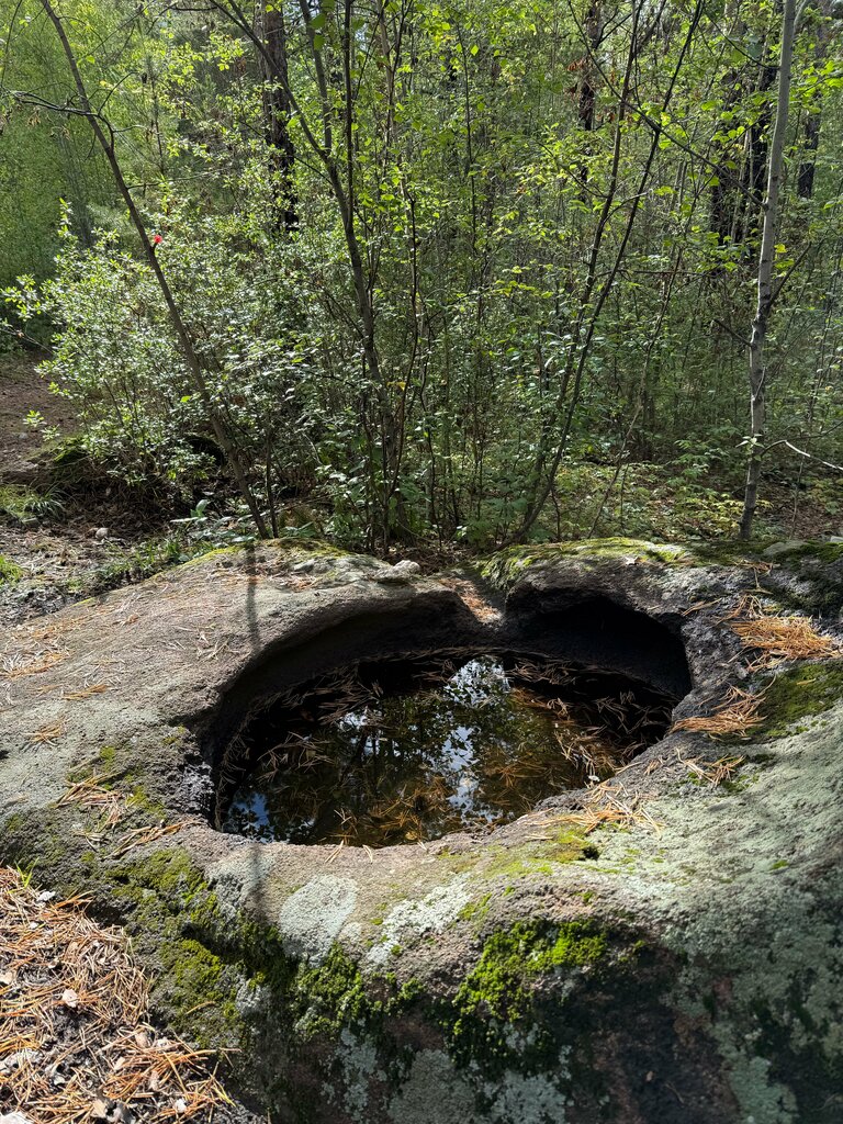 Doğa Камень чаша, Zabaykalski krayı, foto