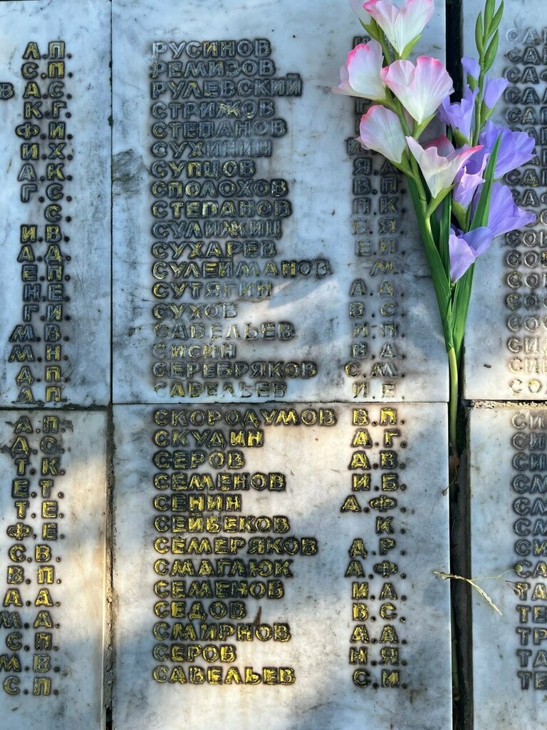 Anıt, heykel Воинское захоронение, Novgorodskaya oblastı, foto